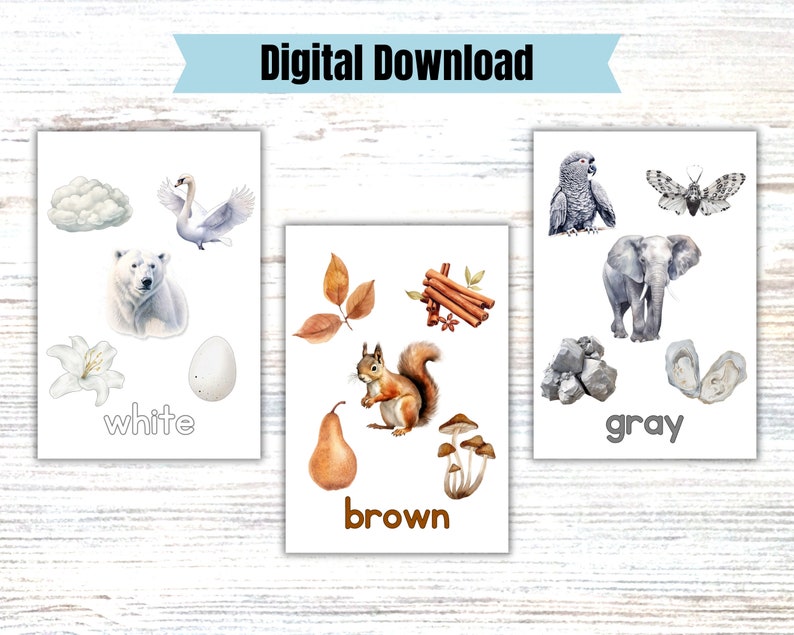 Printable Nature Color Flashcards, Digital Download, 11 Nature Color ...