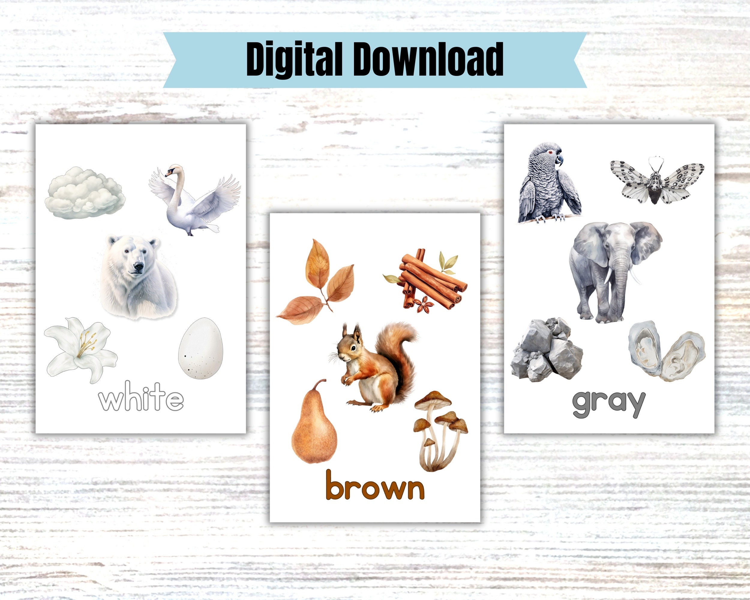 Printable Nature Color Flashcards, Digital Download, 11 Nature Color ...