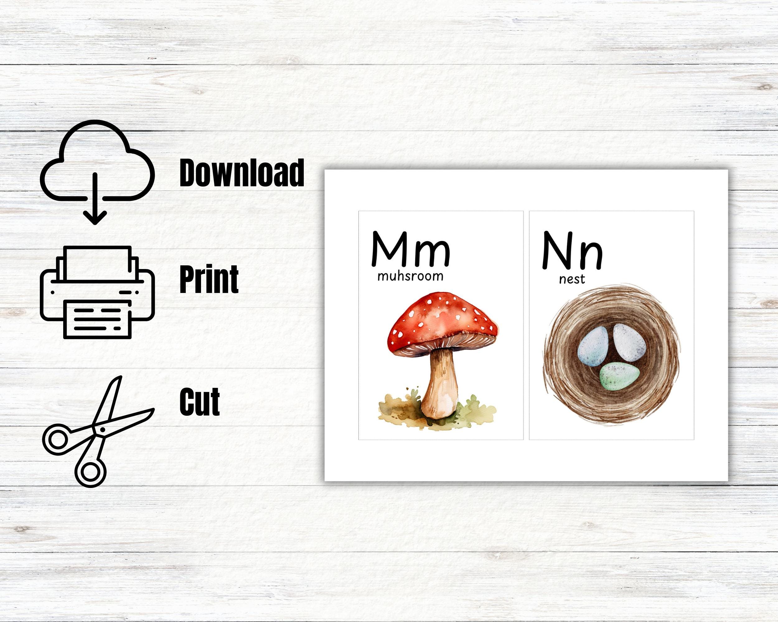 Nature Alphabet Flashcards, Digital Download, Printable Nature ABC ...