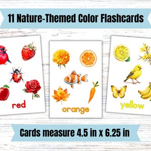 Printable Nature Color Flashcards, Digital Download, 11 Nature Color ...