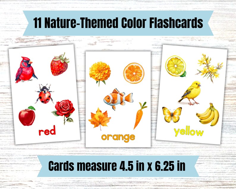 Printable Nature Color Flashcards, Digital Download, 11 Nature Color ...