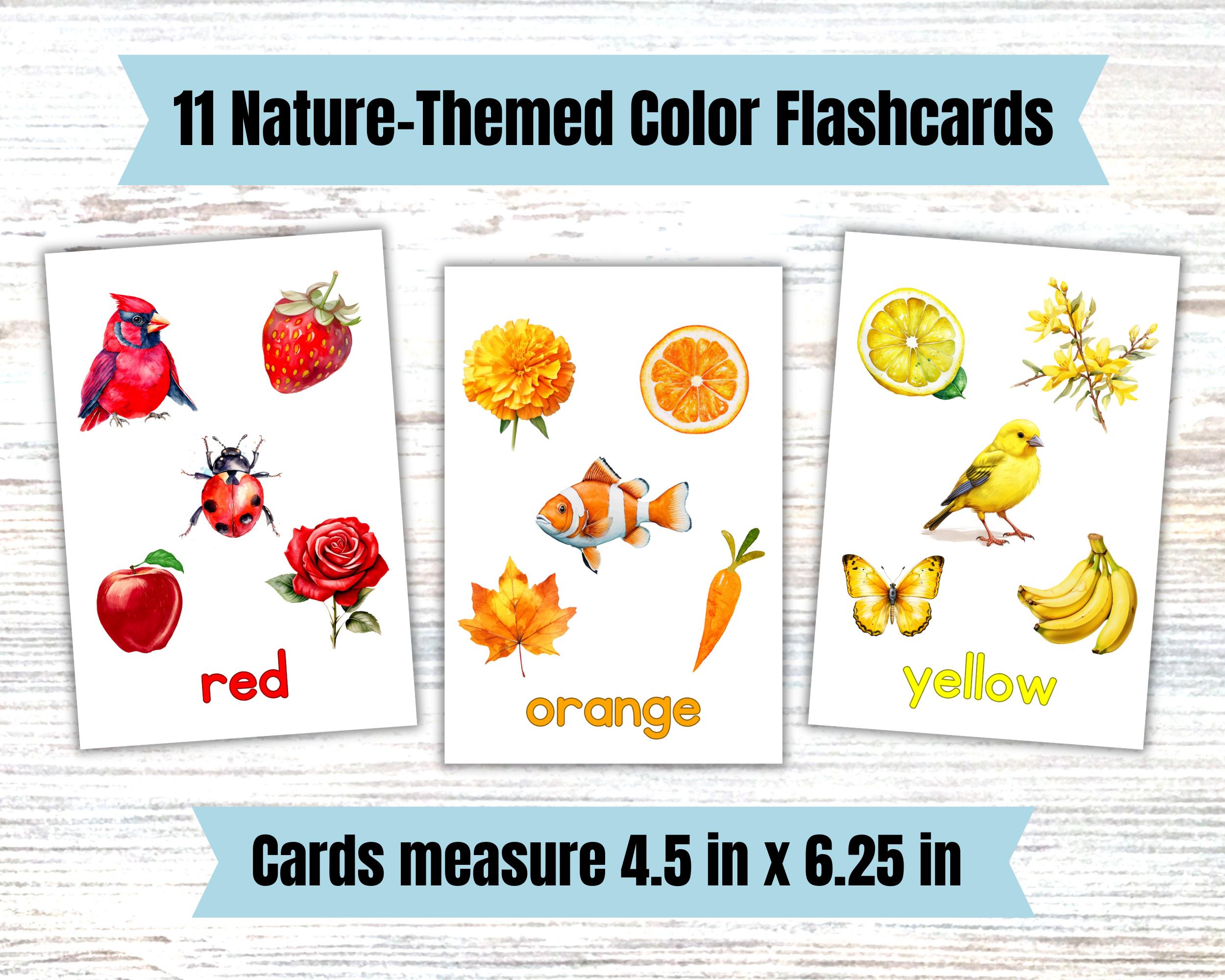 Nature Color Flashcards: Watercolor Montessori Cards (digital Download ...