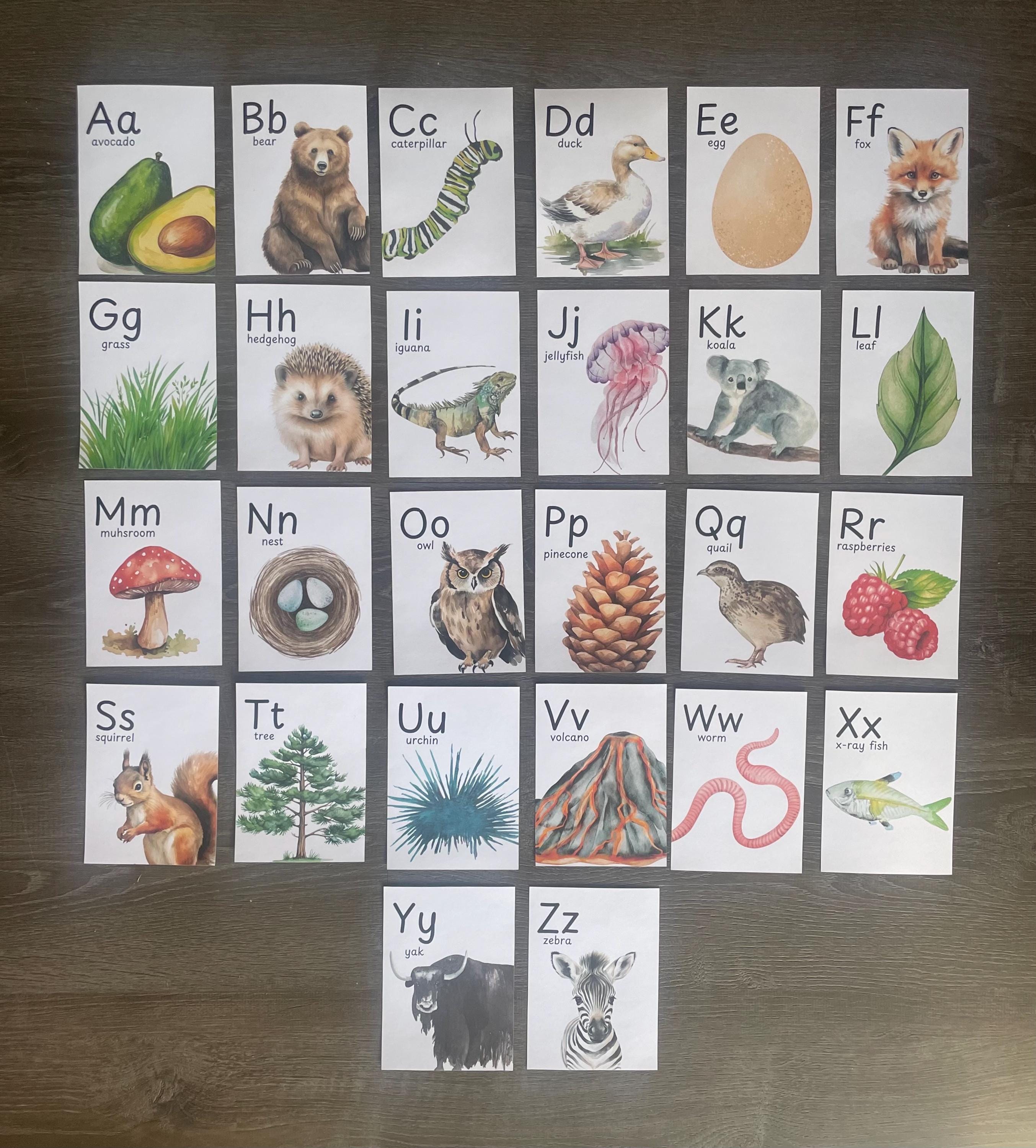 Nature Alphabet Flashcards: Watercolor ABC Homeschool Printables ...
