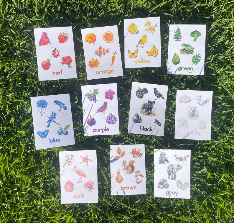 Printable Nature Color Flashcards, Digital Download, 11 Nature Color ...