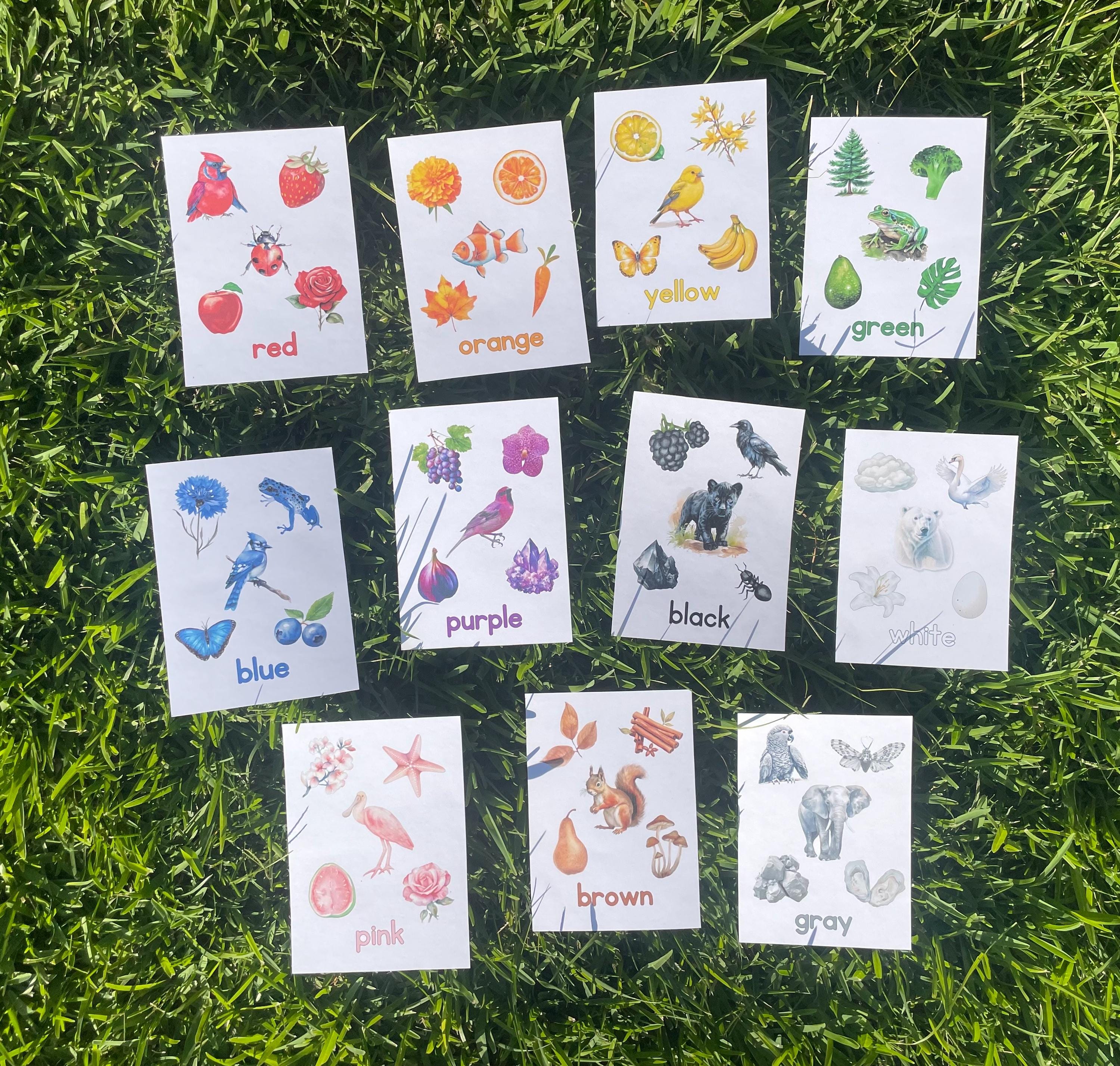 Printable Nature Color Flashcards, Digital Download, 11 Nature Color ...