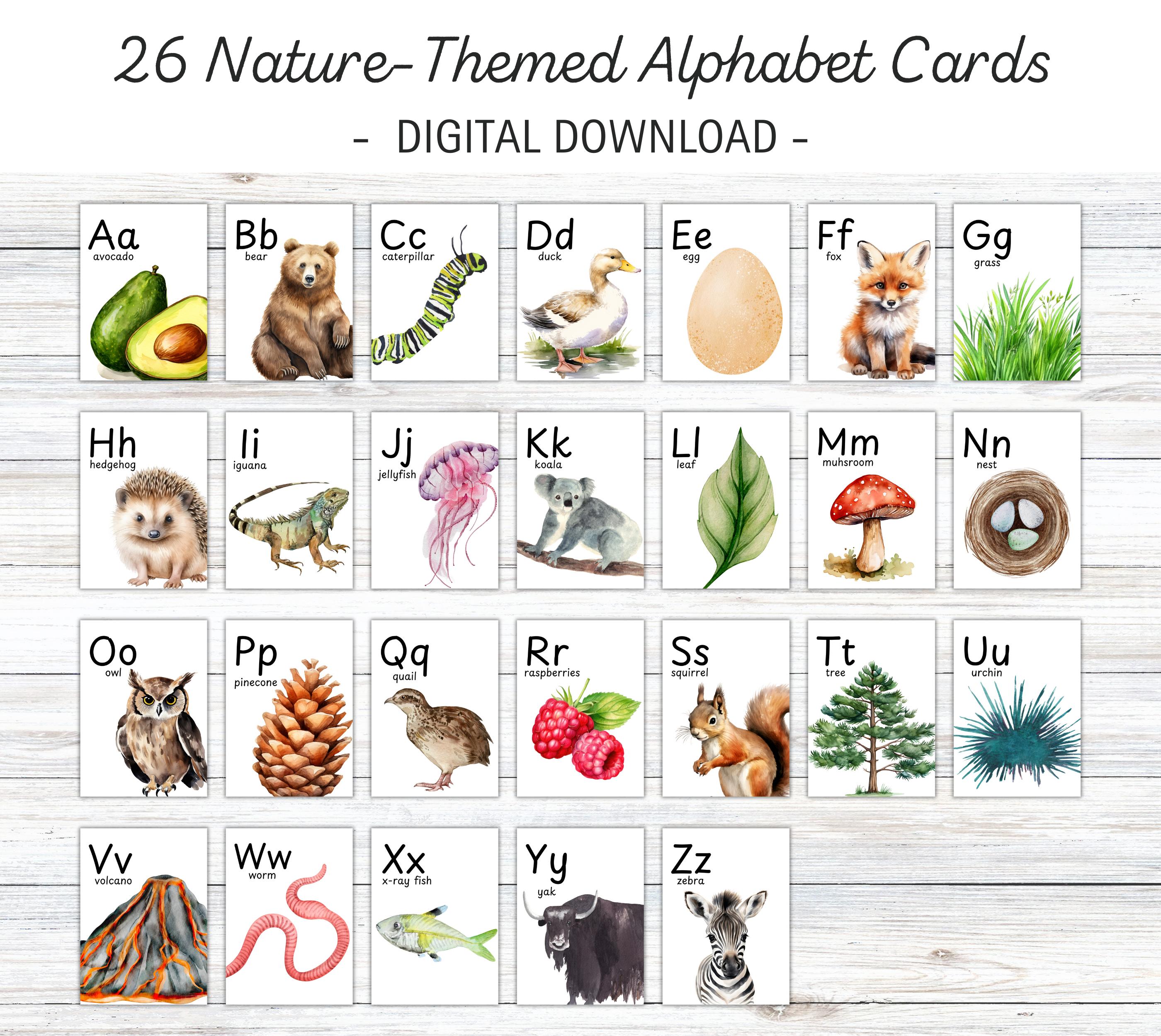 Nature Alphabet Flashcards: Watercolor ABC Homeschool Printables ...