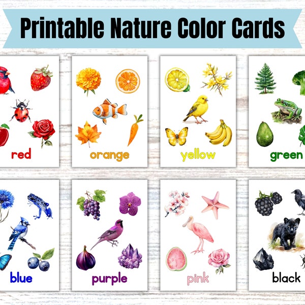 Printable Nature Color Flashcards, Digital Download, 11 Nature Color ...
