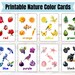 Printable Nature Color Flashcards, Digital Download, 11 Nature Color ...