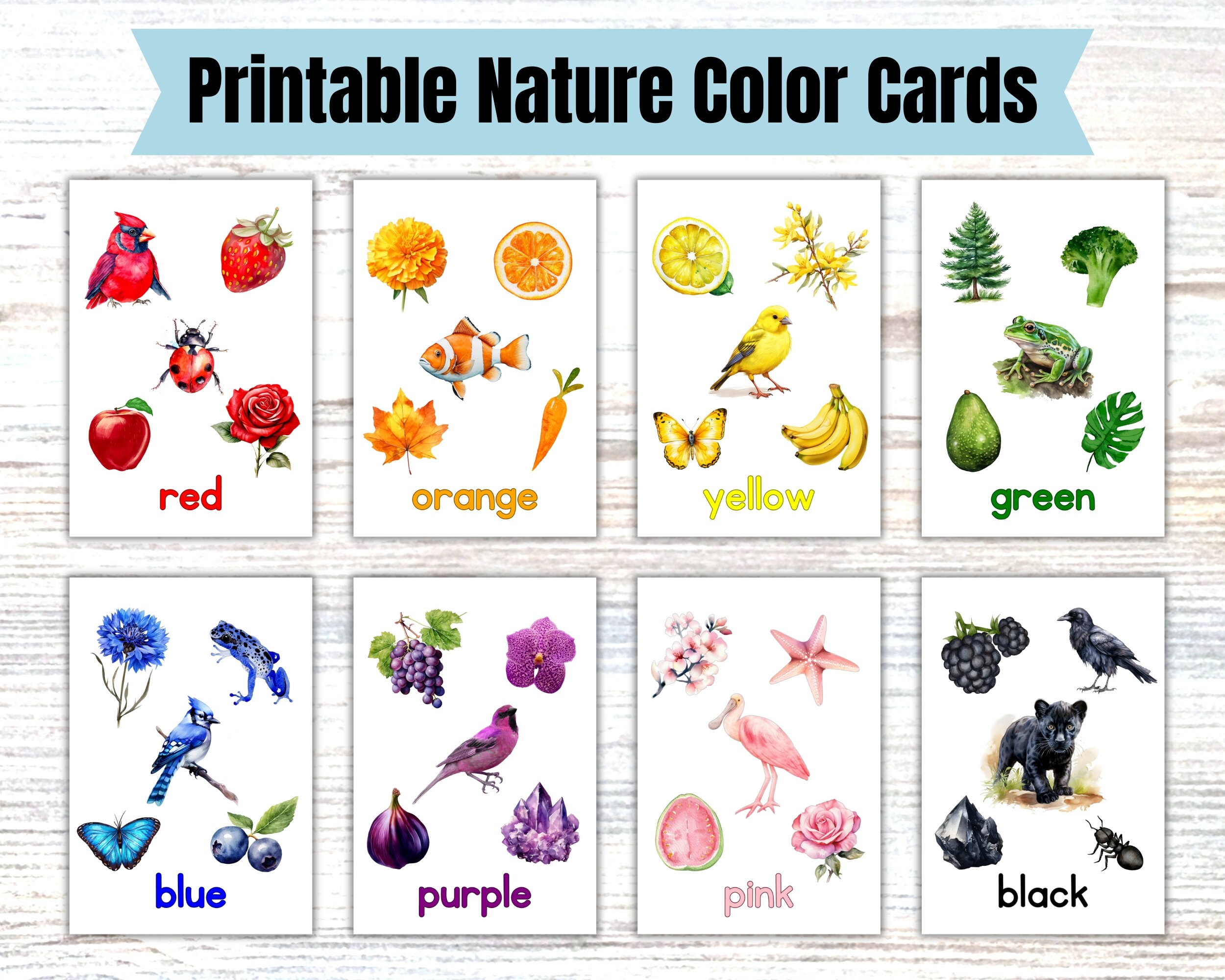 Printable Nature Color Flashcards, Digital Download, 11 Nature Color ...
