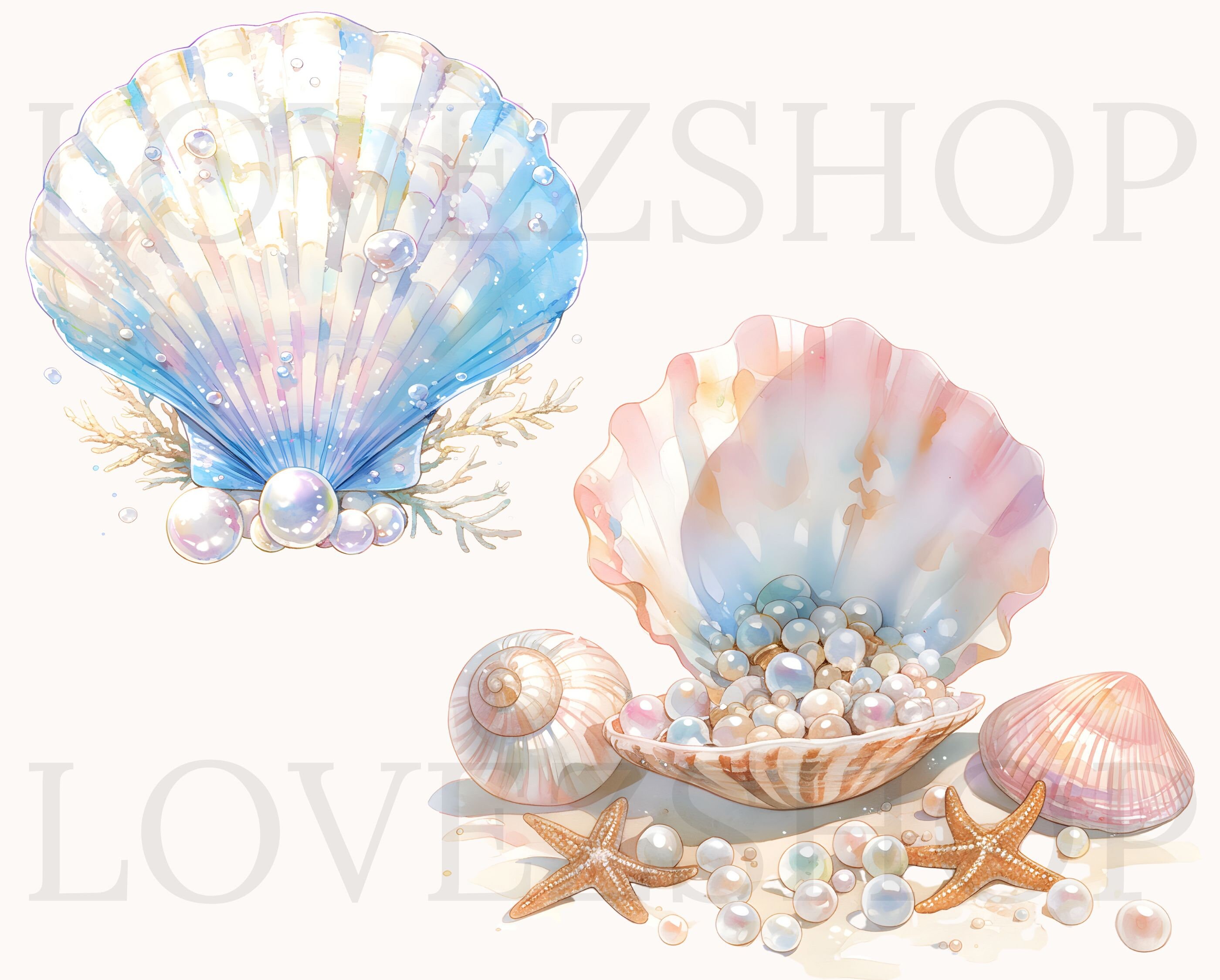 19 Sea Shells Clipart Bundle, Beach Clipart, JPG Bundle,birthday ...