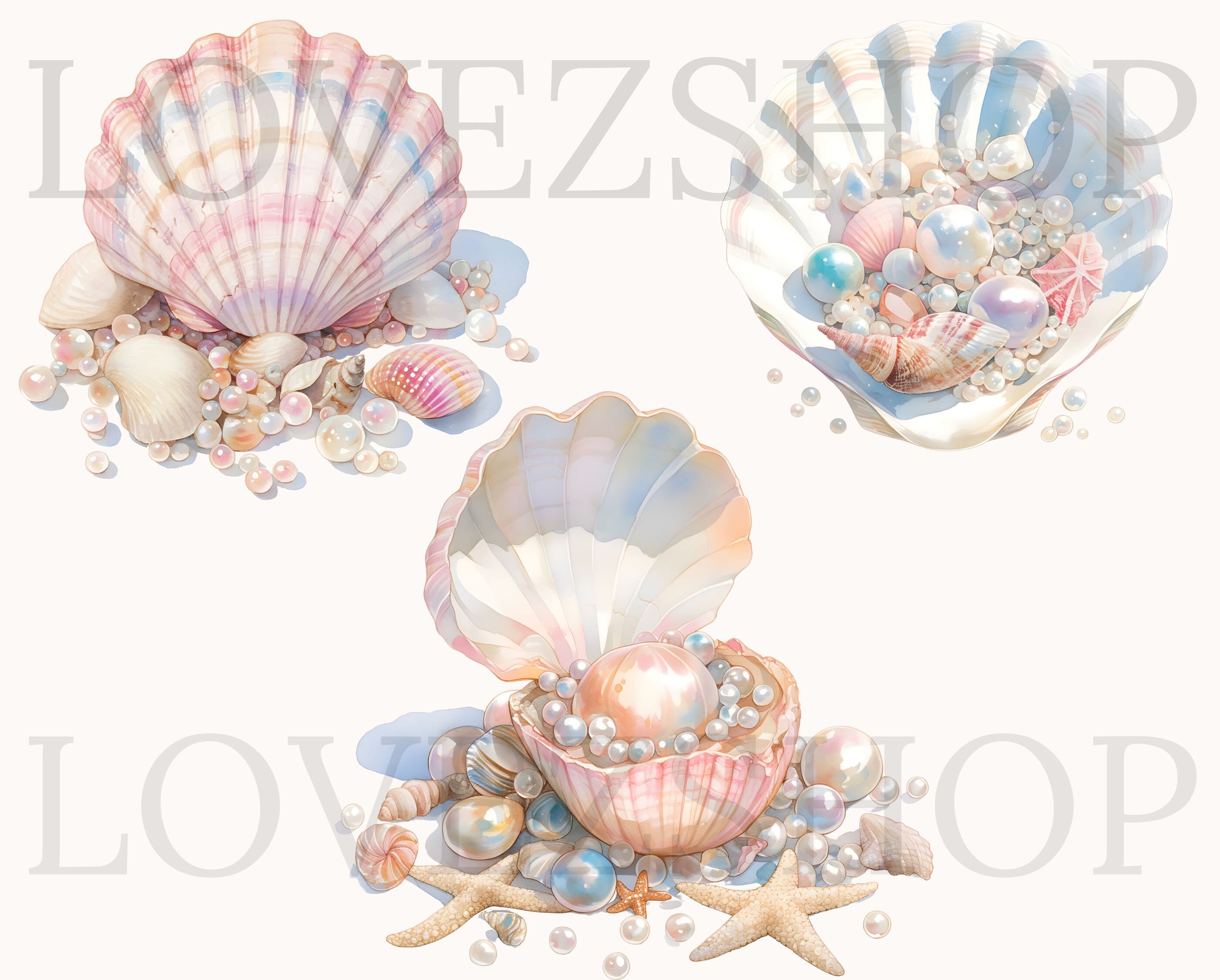 19 Sea Shells Clipart Bundle, Beach Clipart, JPG Bundle,birthday ...