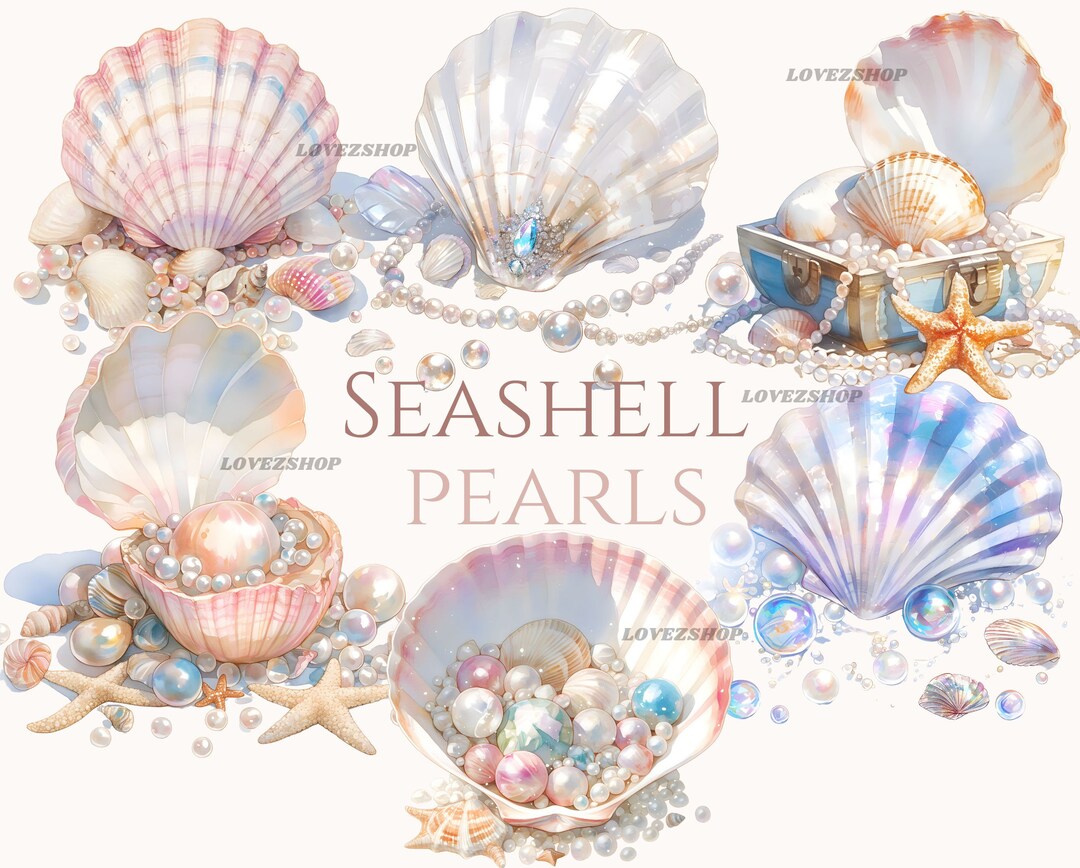 19 Sea Shells Clipart Bundle, Beach Clipart, JPG Bundle,birthday ...