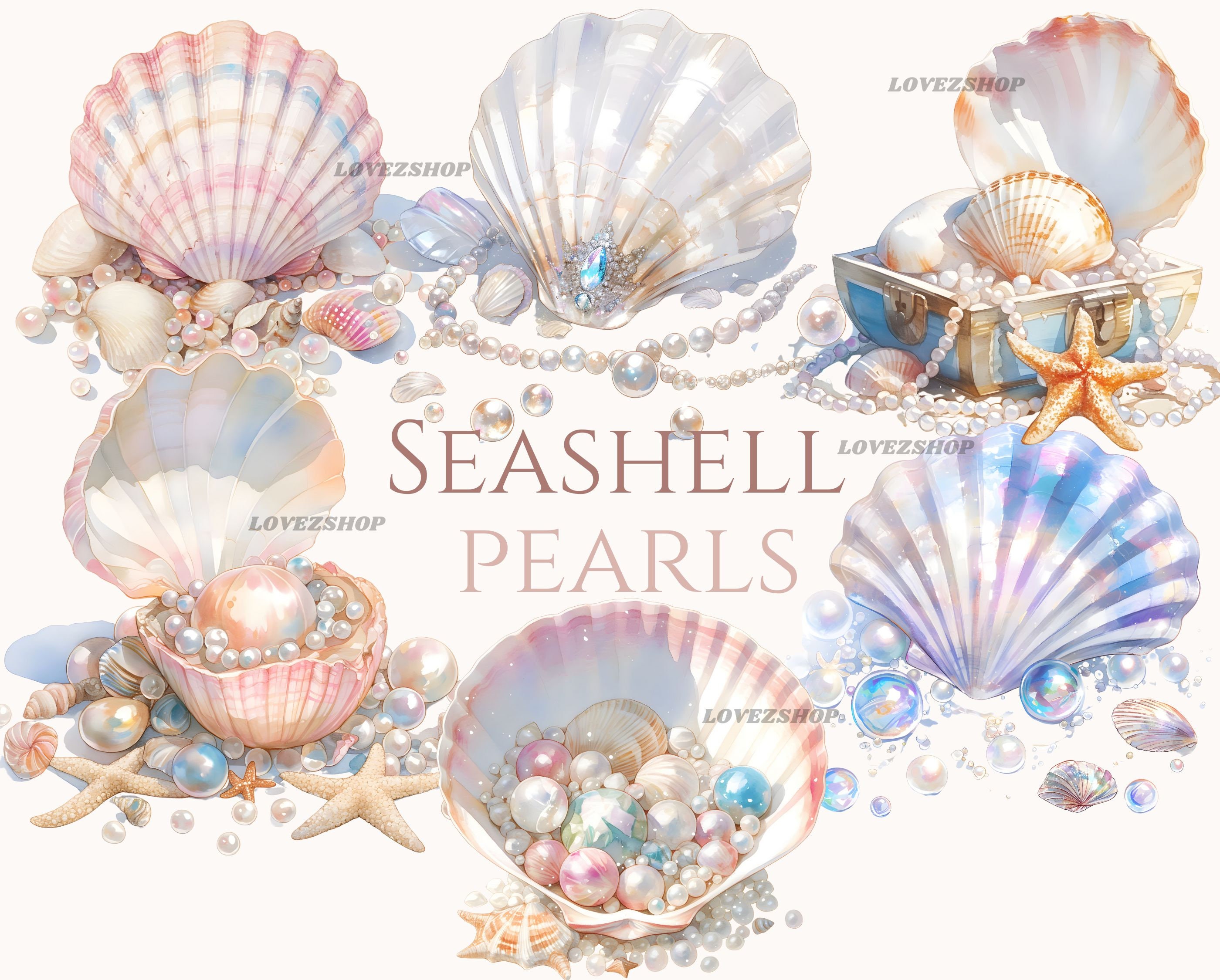 19 Sea Shells Clipart Bundle, Beach Clipart, JPG Bundle,birthday ...
