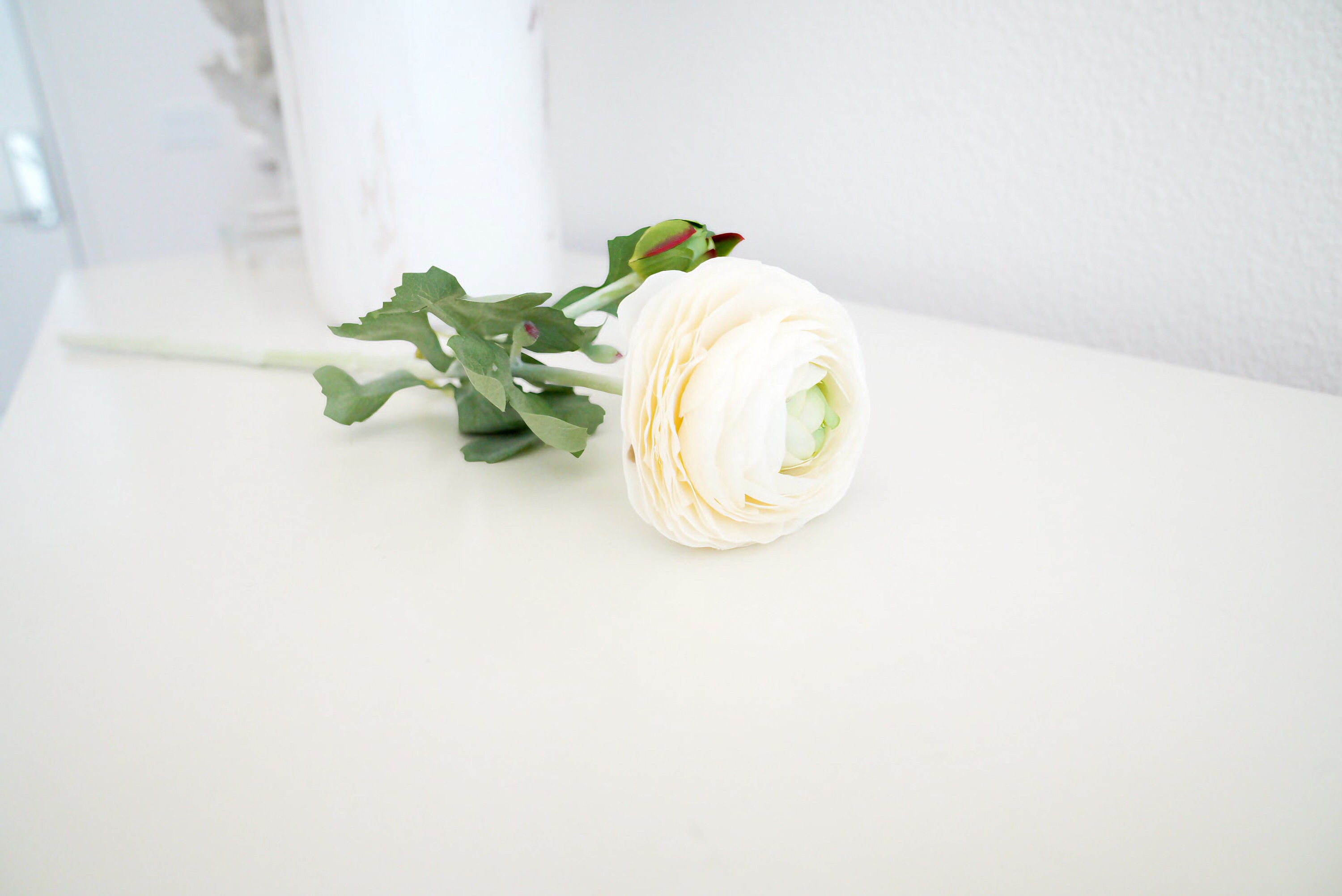 5 Colors Real Touch Ranunculus Artificial Flower 20 Inches Stems Faux ...