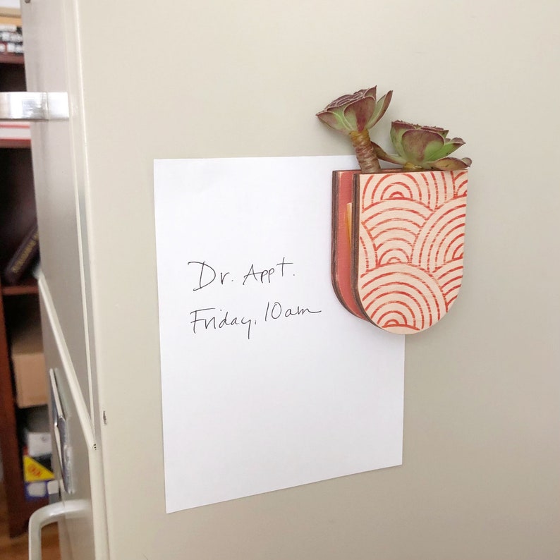 Mini Succulent Magnet Pot, Magnet Plant Holder, Planter Magnet ...