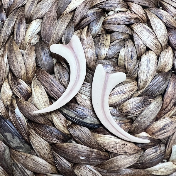 Raptor Claw Fossil - Etsy