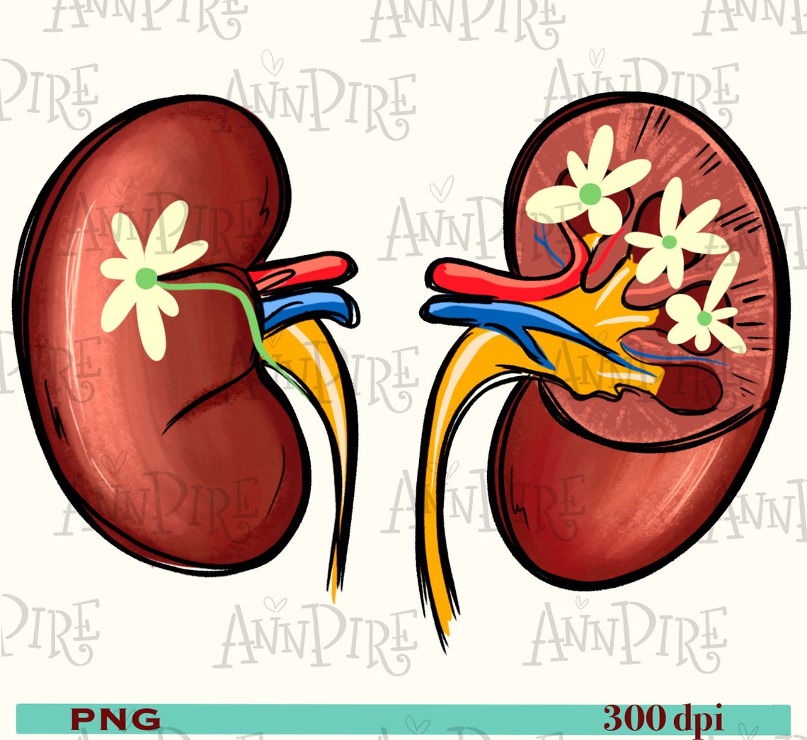Urology Crew PNG, Kidney Design, Nurse Gift (digital Download) - Etsy