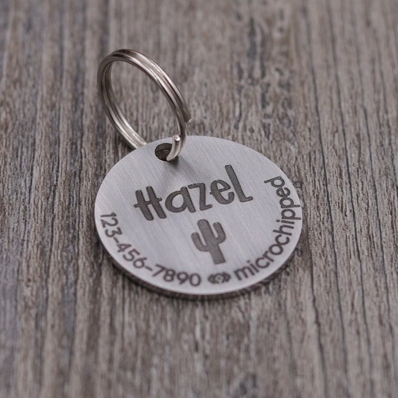 Pet Name Tag With Info - Etsy