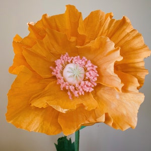 Small Orange Paper Flowers - Etsy