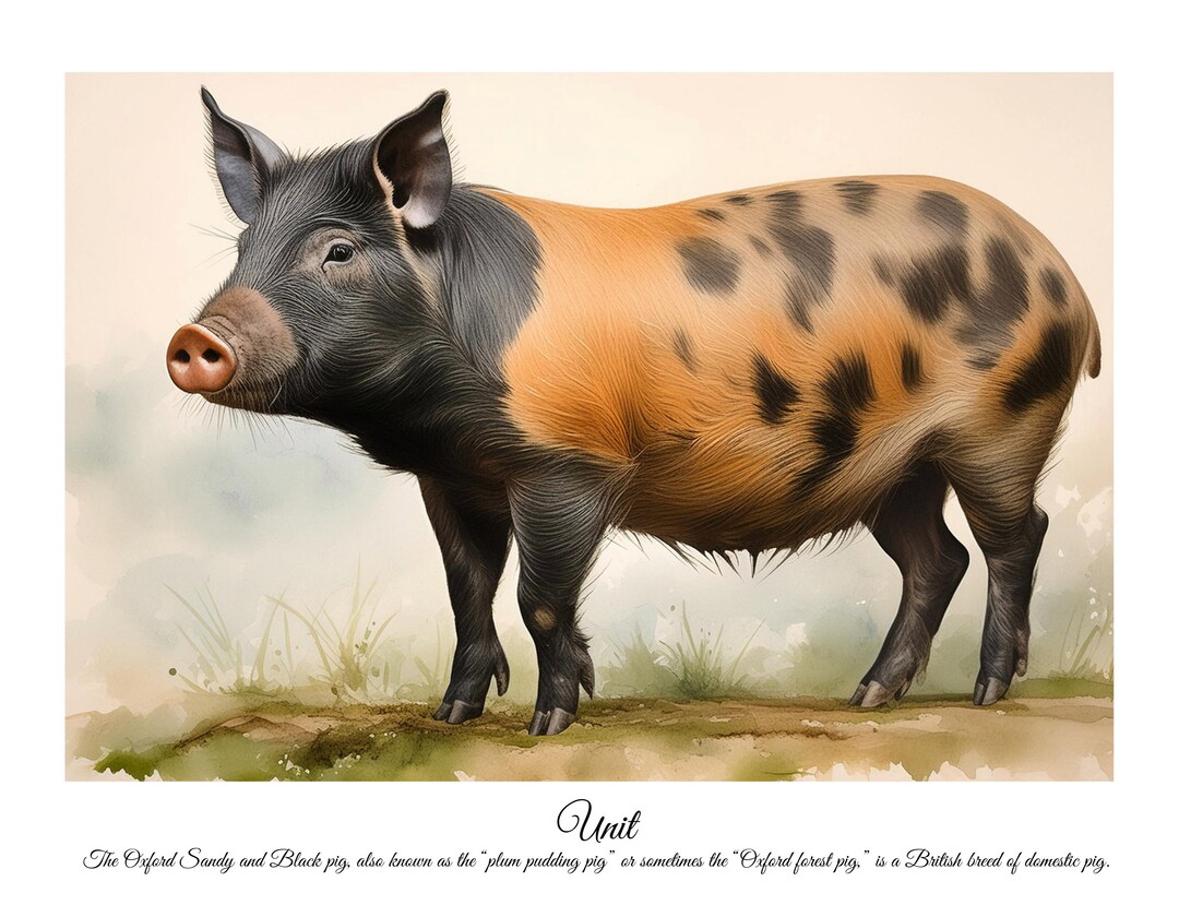 Clarkson's Farm Unit the Pig Art Print - Etsy