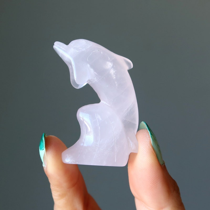 Dolphin Stone - Etsy