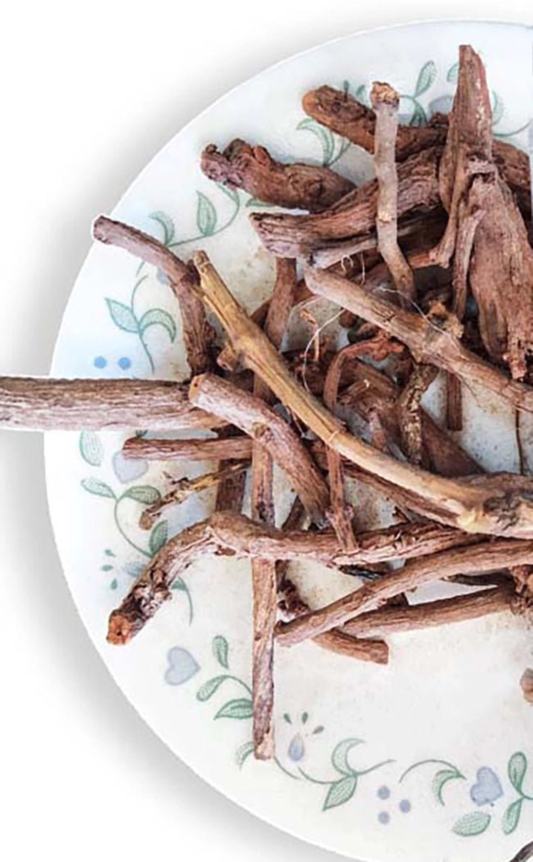 Master Root | Masterwort Pieces | Witchcraft Herbs (known as Peucedanum ...