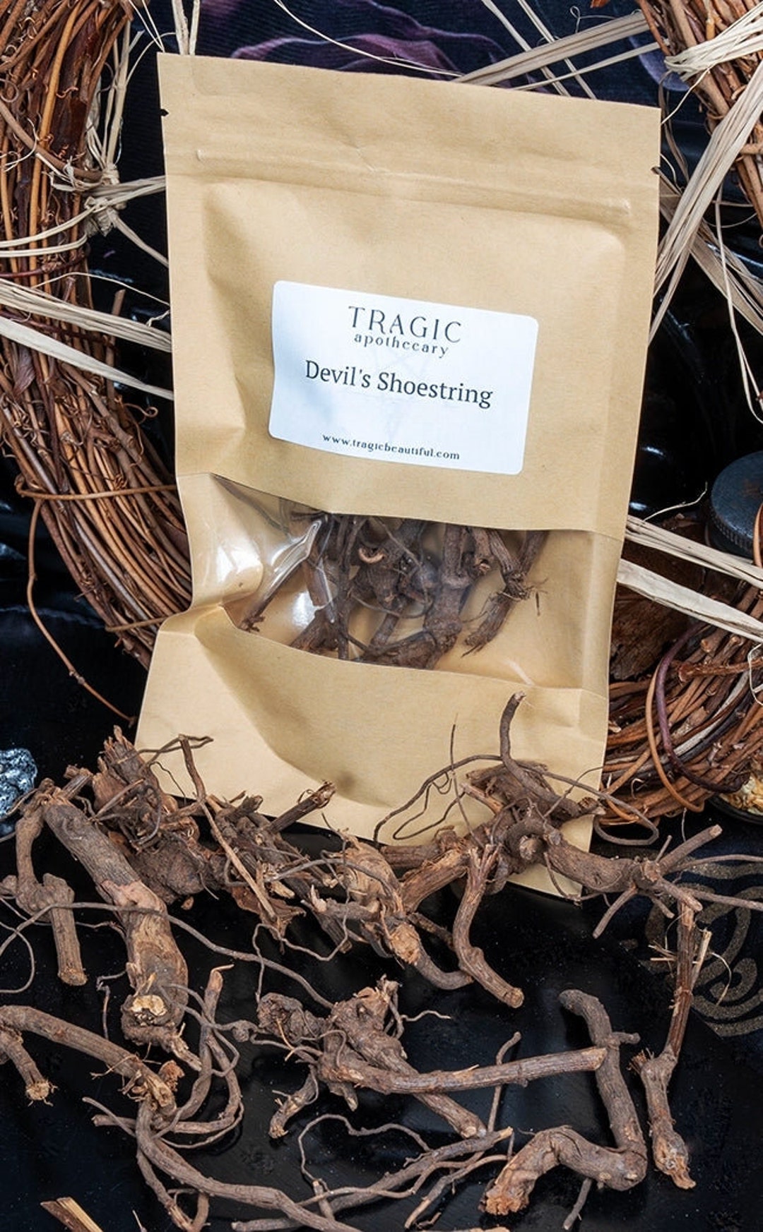Devils Shoestring for Witchcraft Herbs for Protection Luck Hoodoo ...