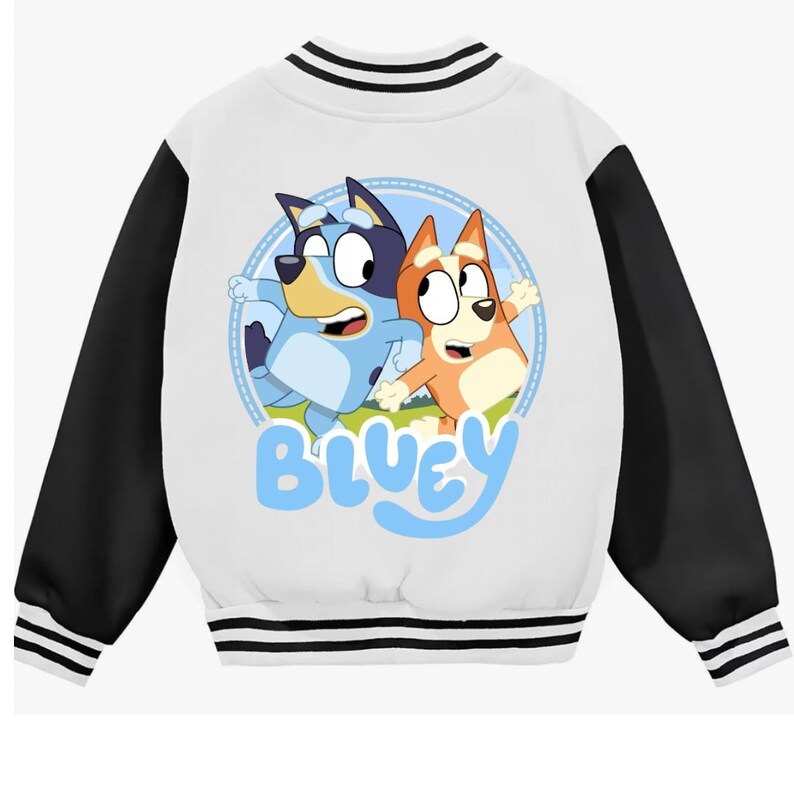 Custom Varsity Jacket - Etsy