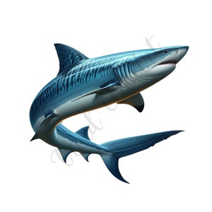 Shark Clipart Set Digital Shark Art PNG Ocean Animals, Sea Life ...