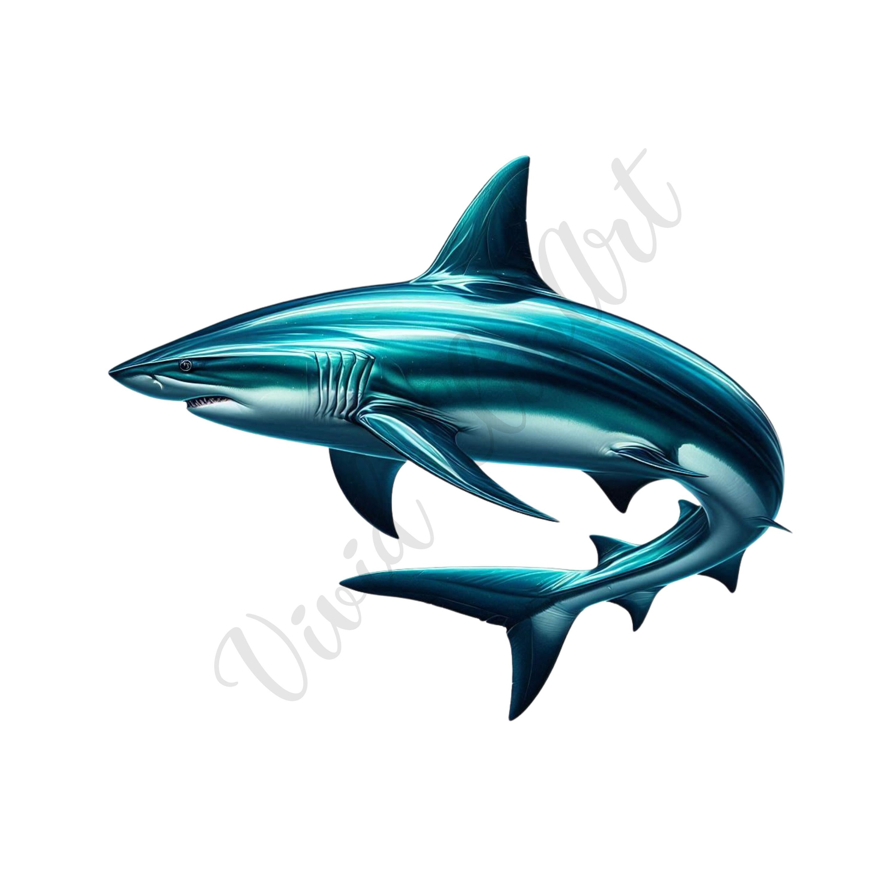 Shark Clipart Set Digital Shark Art PNG Ocean Animals, Sea Life ...