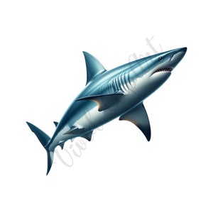 Shark Clipart Set Digital Shark Art PNG Ocean Animals, Sea Life ...