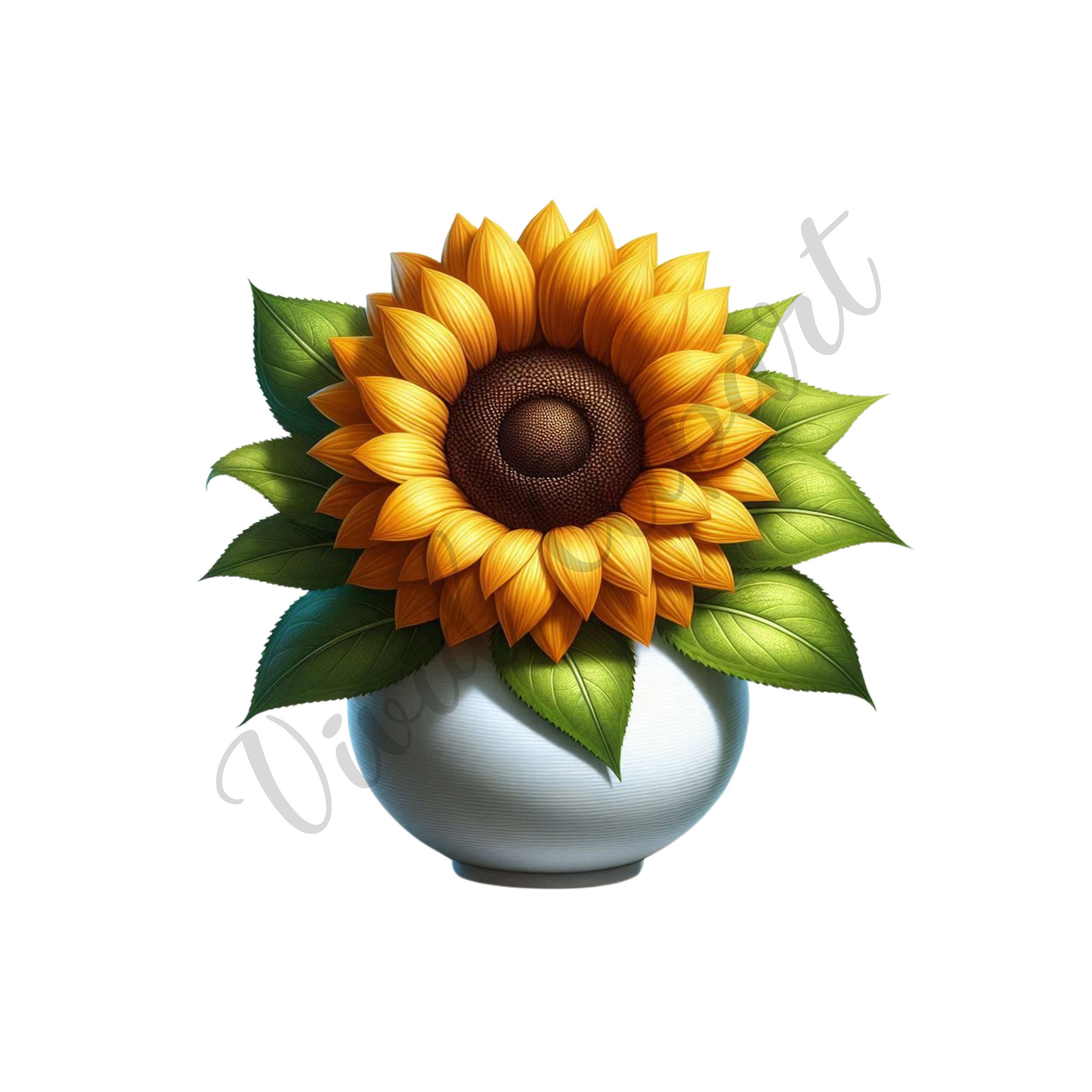 Sunflower Clipart PNG Vibrant Sunflower Bundle 22 High-quality Designs ...