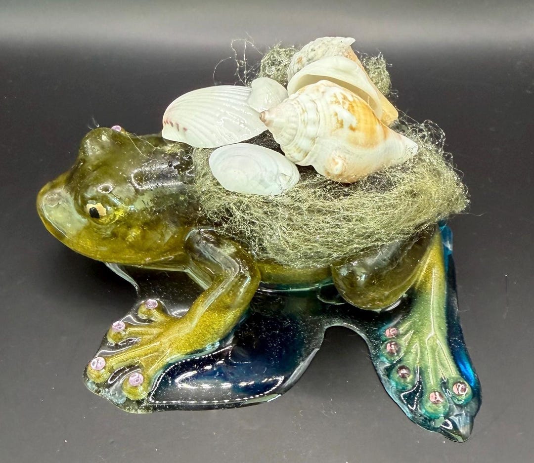 Frog Hiding Under Shells - Etsy