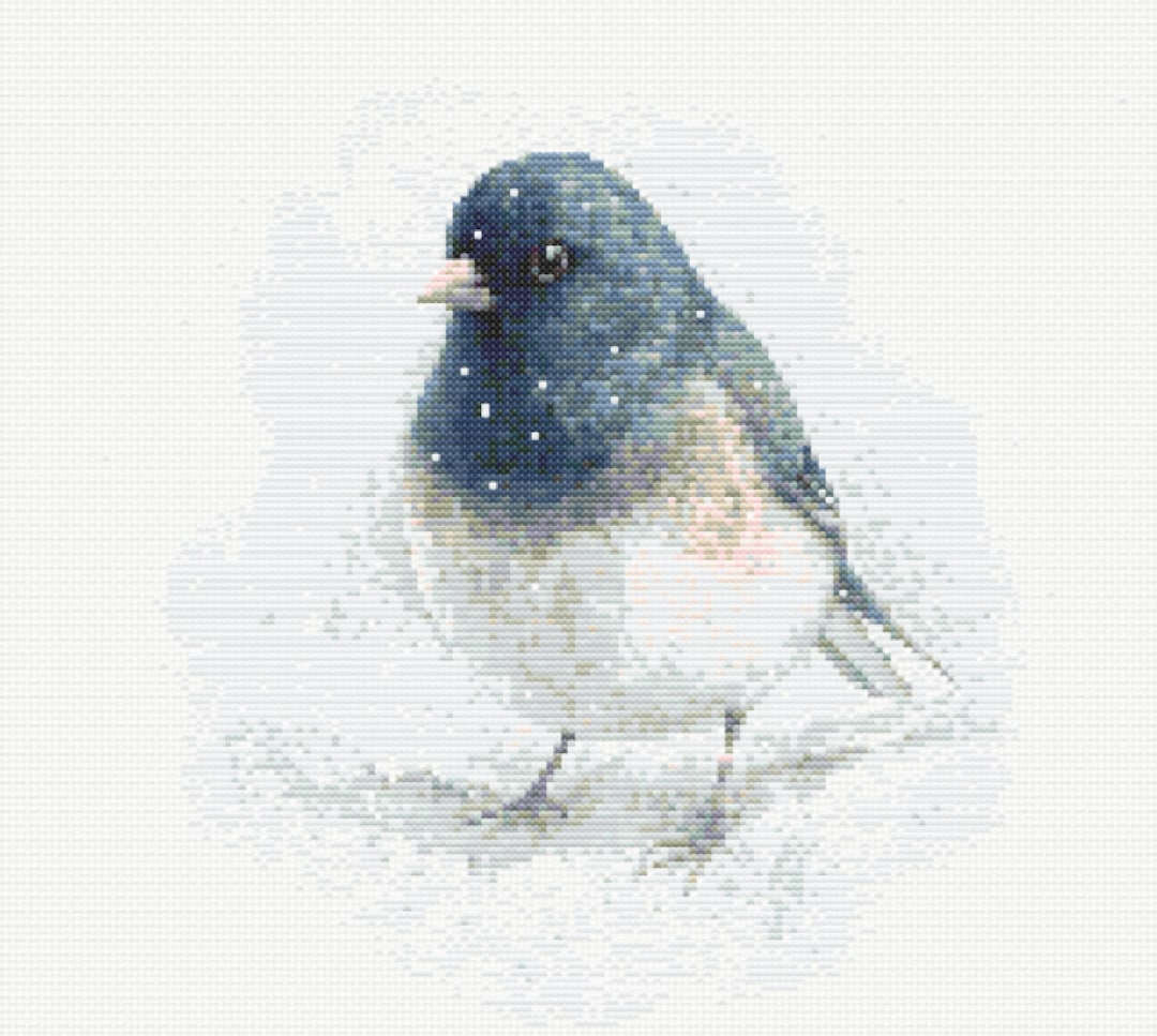 Winter Bird Cross Stitch Kit: Black Eyed Junco Pattern (PDF Download ...