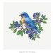 Springtime Cross Stitch | Bluebird and Blueberries | PDF Download - Etsy