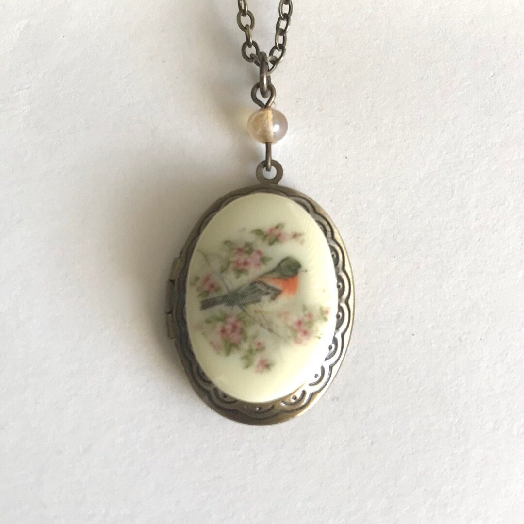 American Robin Brass Locket Necklace, Nature Inspired Bird Necklace ...