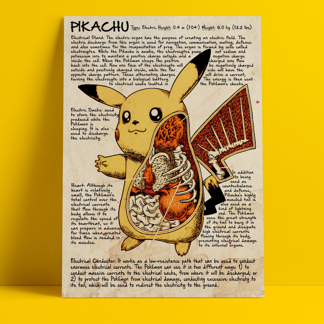 Pokemon Poster Pikachu Anatomy, Pokenatomy Poster, Pokemon Anatomy ...