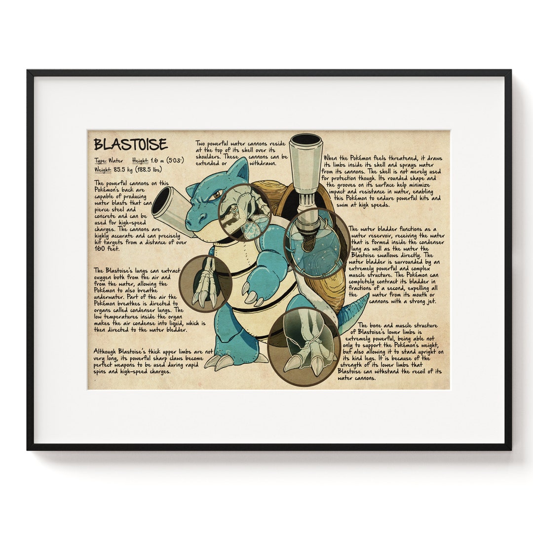 Pokemon Poster Blastoise Anatomy, Pokenatomy Poster, Pokemon Anatomy ...
