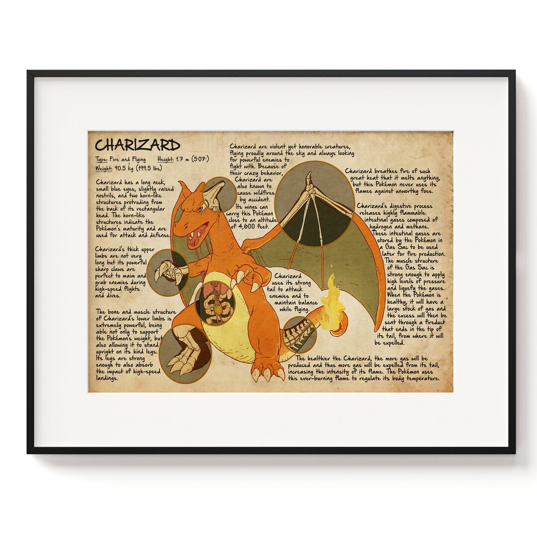 Pokemon Poster Charizard Anatomy, Pokenatomy Poster, Pokemon Anatomy ...