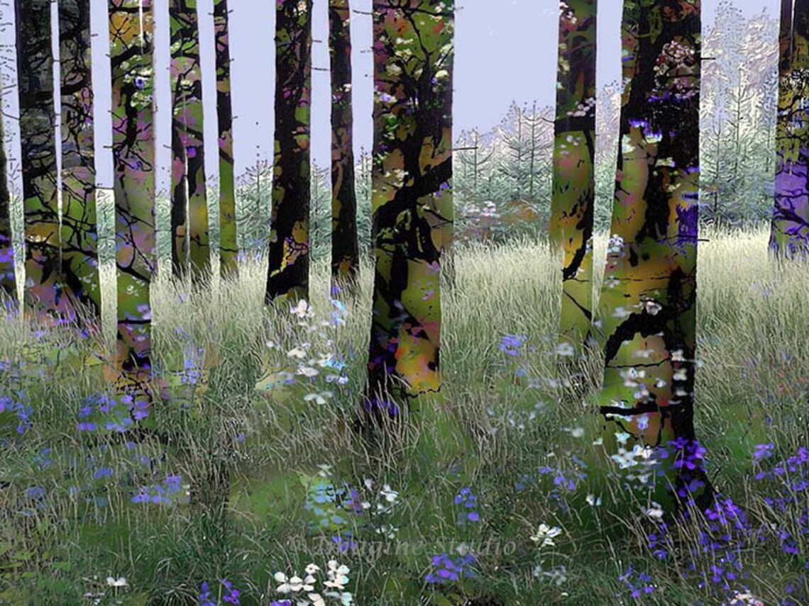 Nature Landscape Springtime Fine Art Print Giclee Archival - Etsy