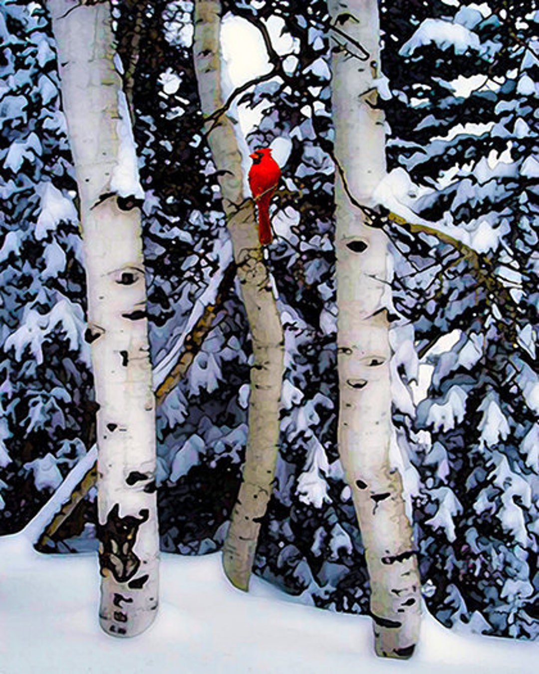 Winter Landscape, Birch Trees, Bird, Red Cardinal, Landscape ...