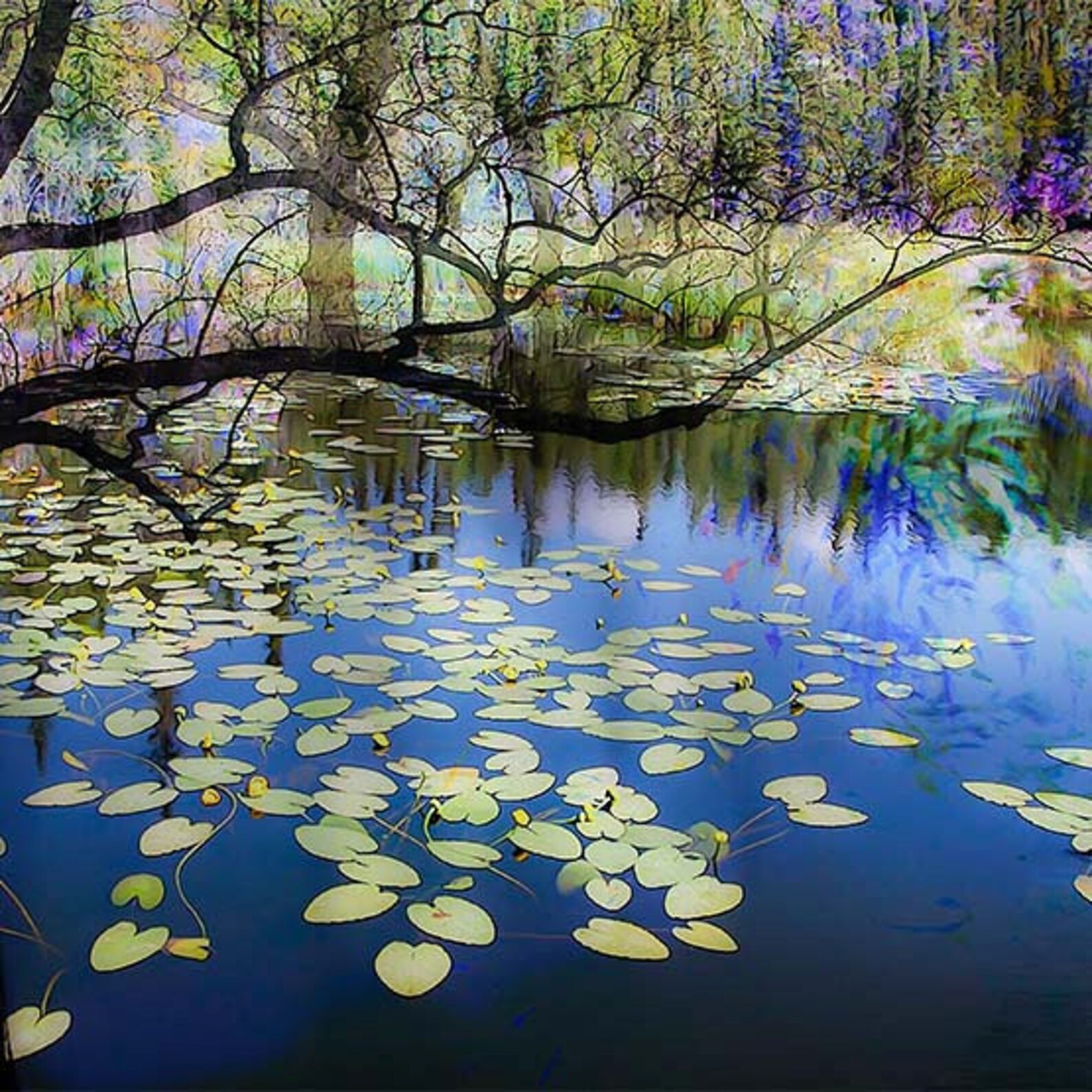 Nature Landscape Springtime Fine Art Print Giclee Archival | Etsy