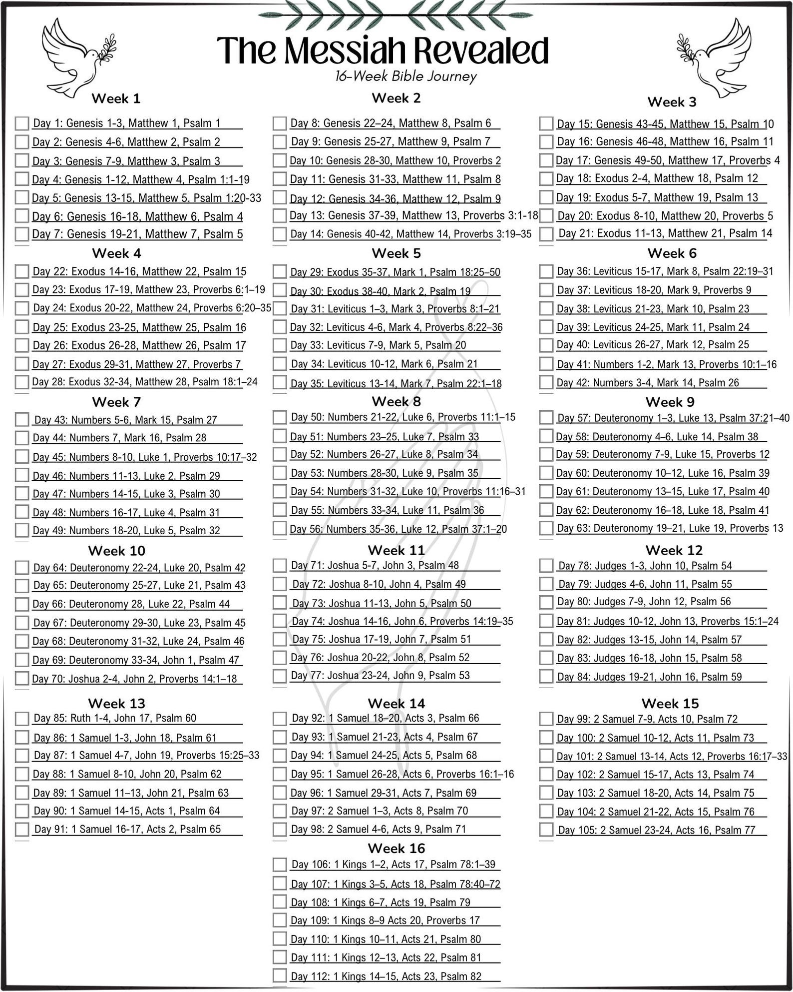 Messiah Prophecy Bible Reading Checklist: Old & New Testament (digital ...