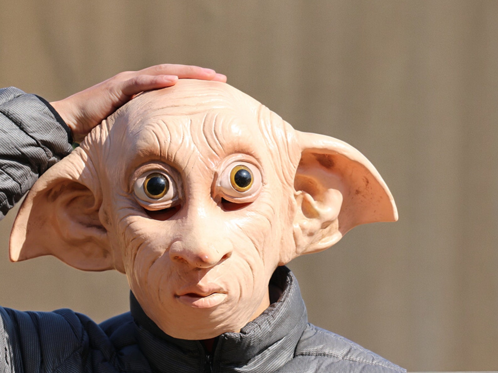Dobby - House Elf - Dobby Mask, Hagrid, Harry P, Hermione, Ron ...