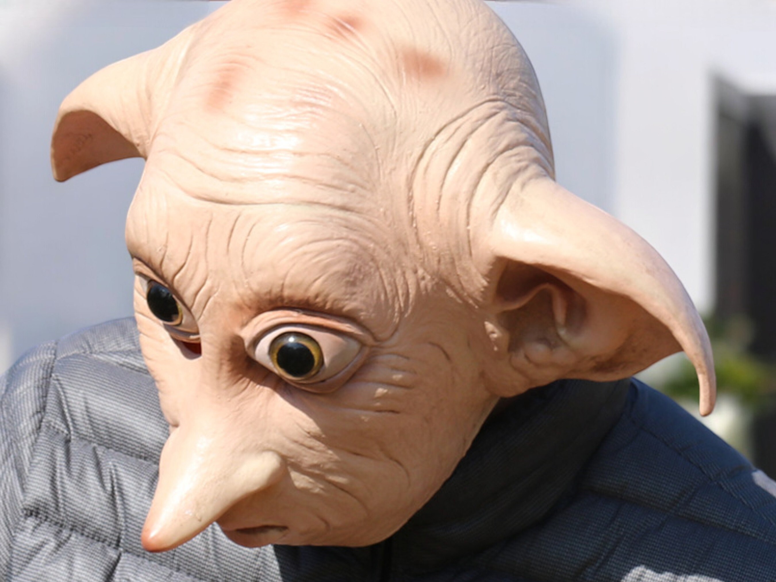 Dobby - House Elf - Dobby Mask, Hagrid, Harry P, Hermione, Ron ...