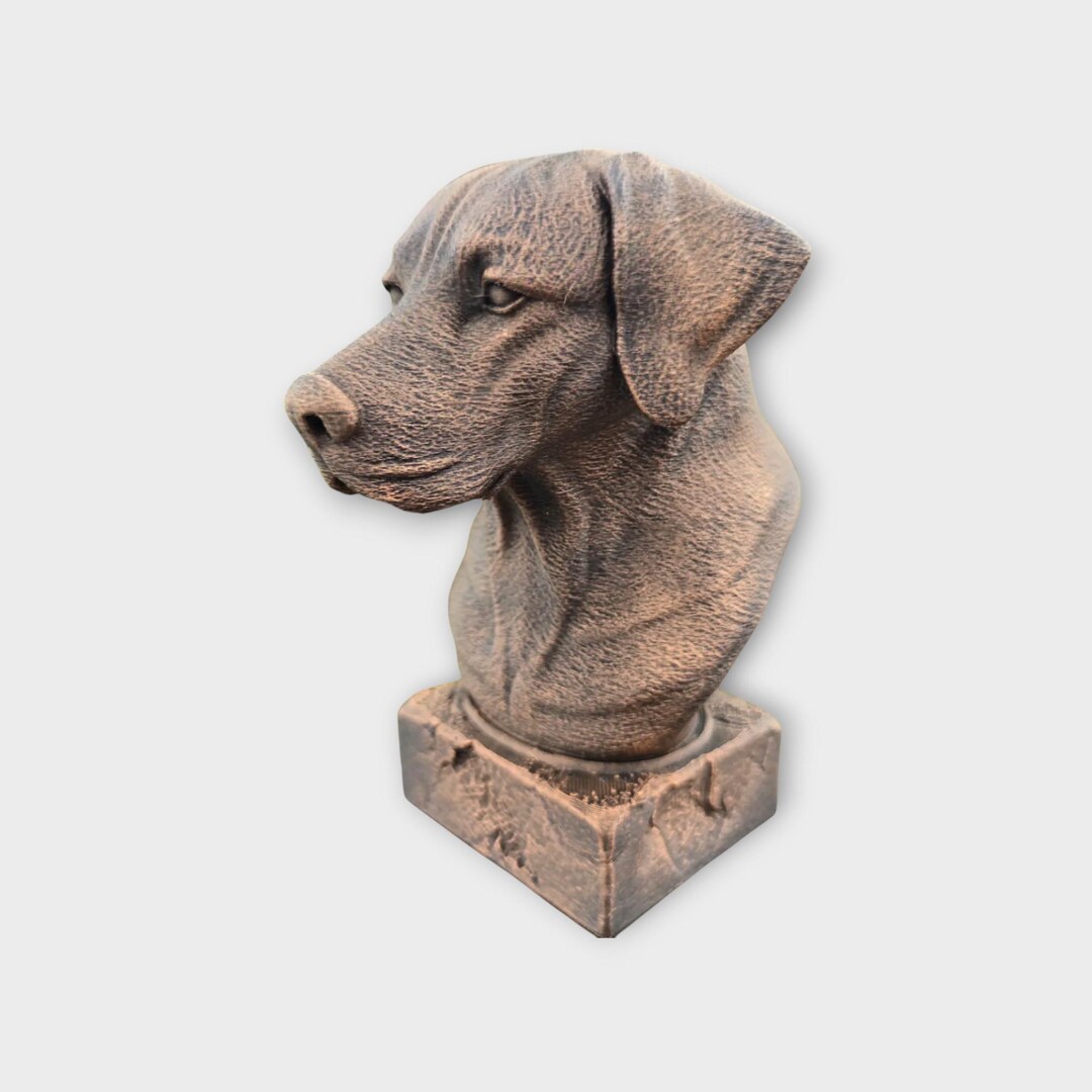 Bust of a Rhodesian Ridgeback Statue - Home Decor Dog Lover Gift Him ...