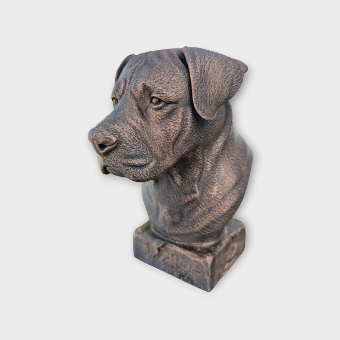 Bust of a Canarian Mastiff Dog Statue - Home Decor Dog Lover Gift Him ...