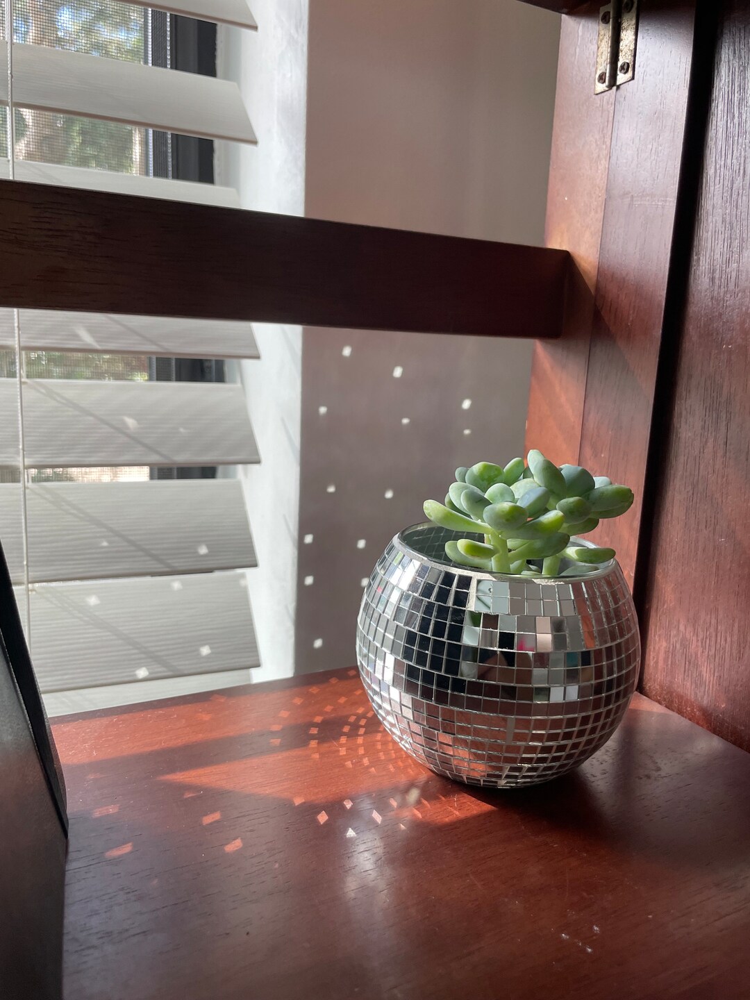 Disco Ball Planter - Etsy