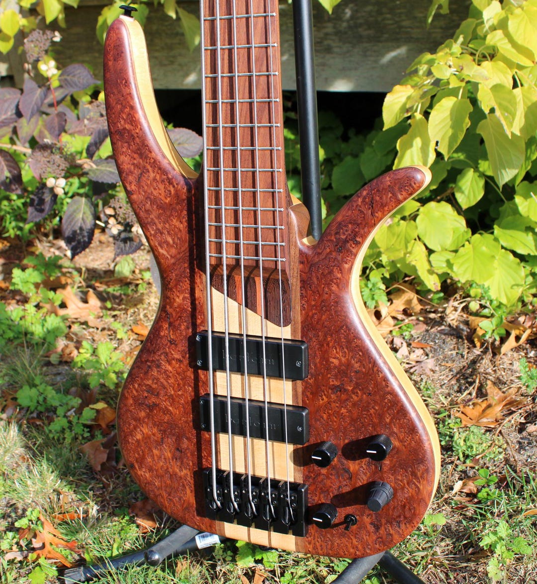 Redwood Burl 5 String Bass Guitar - Etsy