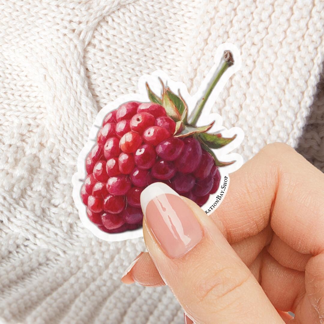 Raspberry Sticker 1.5x1.8, Sweet Juicy Fruit Laptop Decal, Foodie Water ...